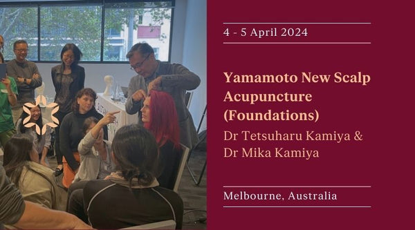 Yamamoto New Scalp Acupuncture: Foundations – SustainHealth Academy